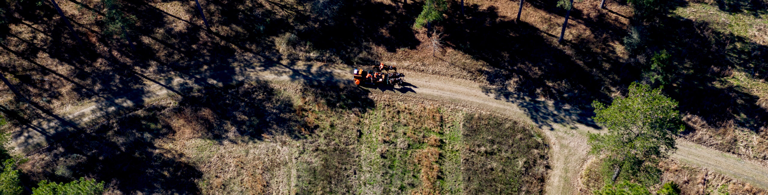 Hunting + Shooting - Cherokee Plantation : Cherokee Plantation